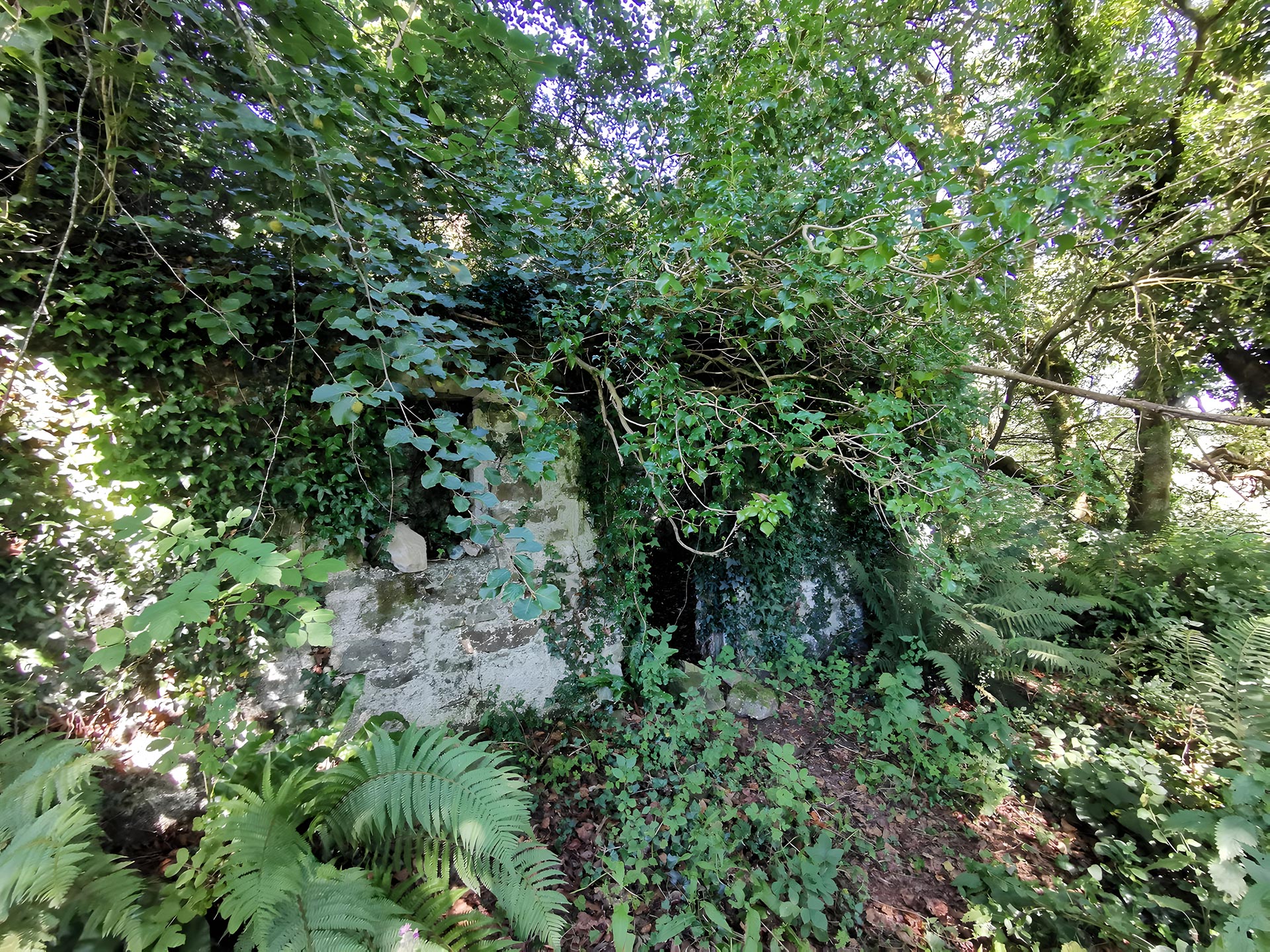 Let’s Visit Biddy Early’s Cottage - Gallivanting