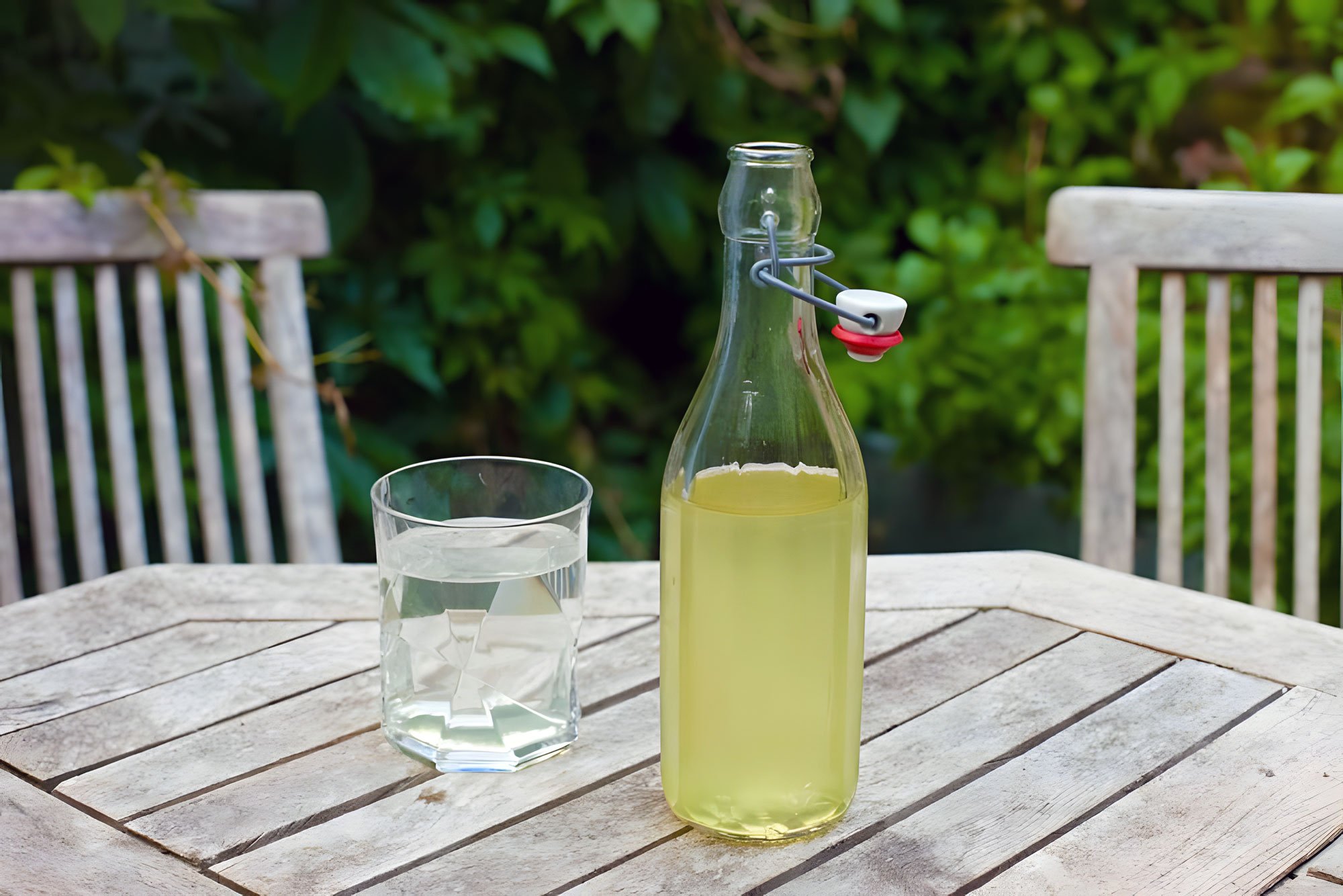 Easy Beginners Guide to Cordials - Gallivanting